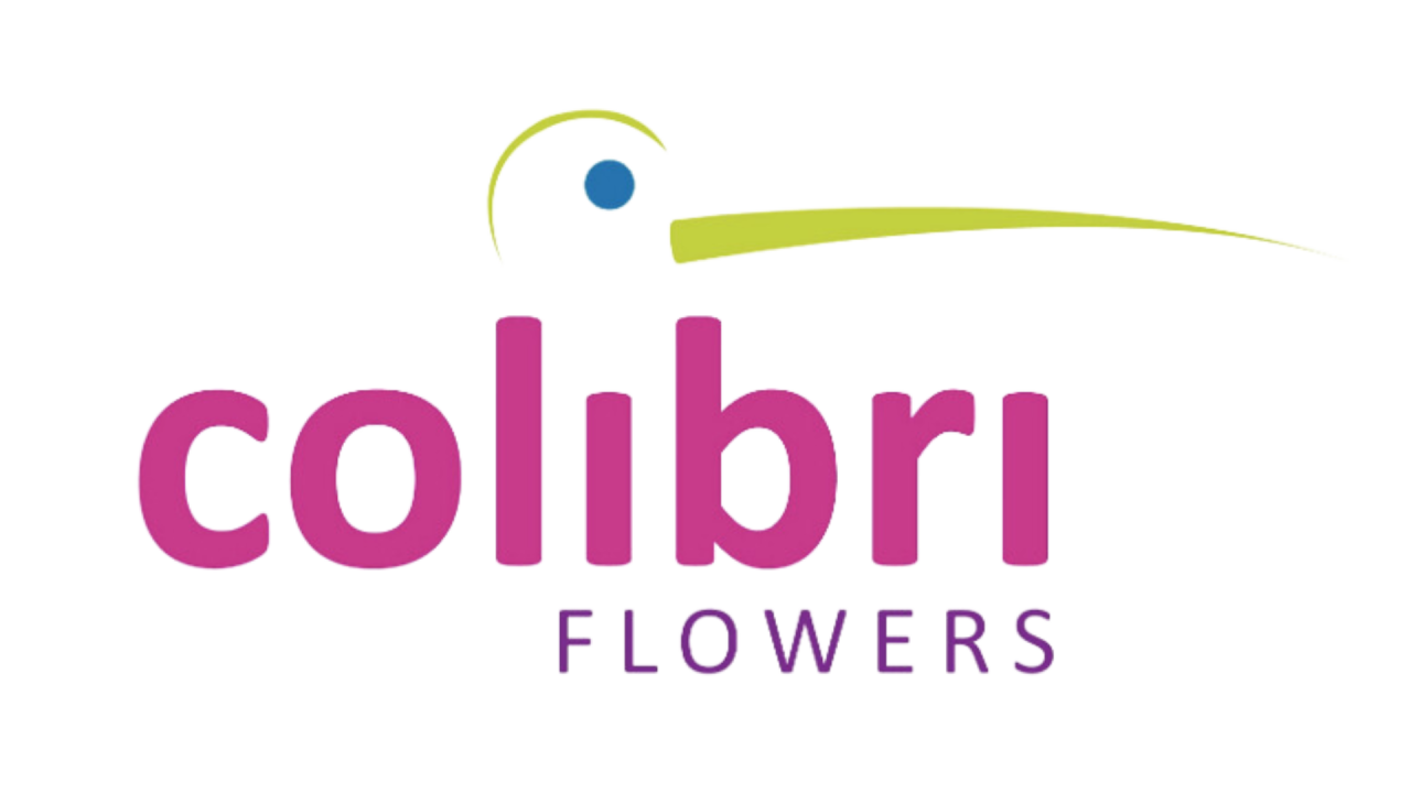 Nuestros clientes | Airwa